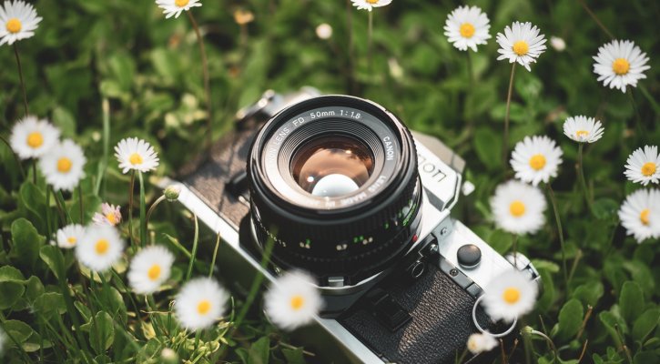 Spring Picture Day | Oak Creek Elementary